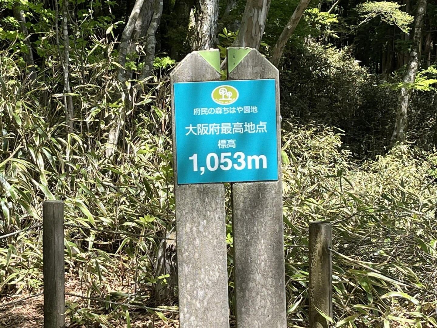 金剛山 / Az-Tora-Macさんの金剛山・二上山・大和葛城山の活動データ | YAMAP / ヤマップ