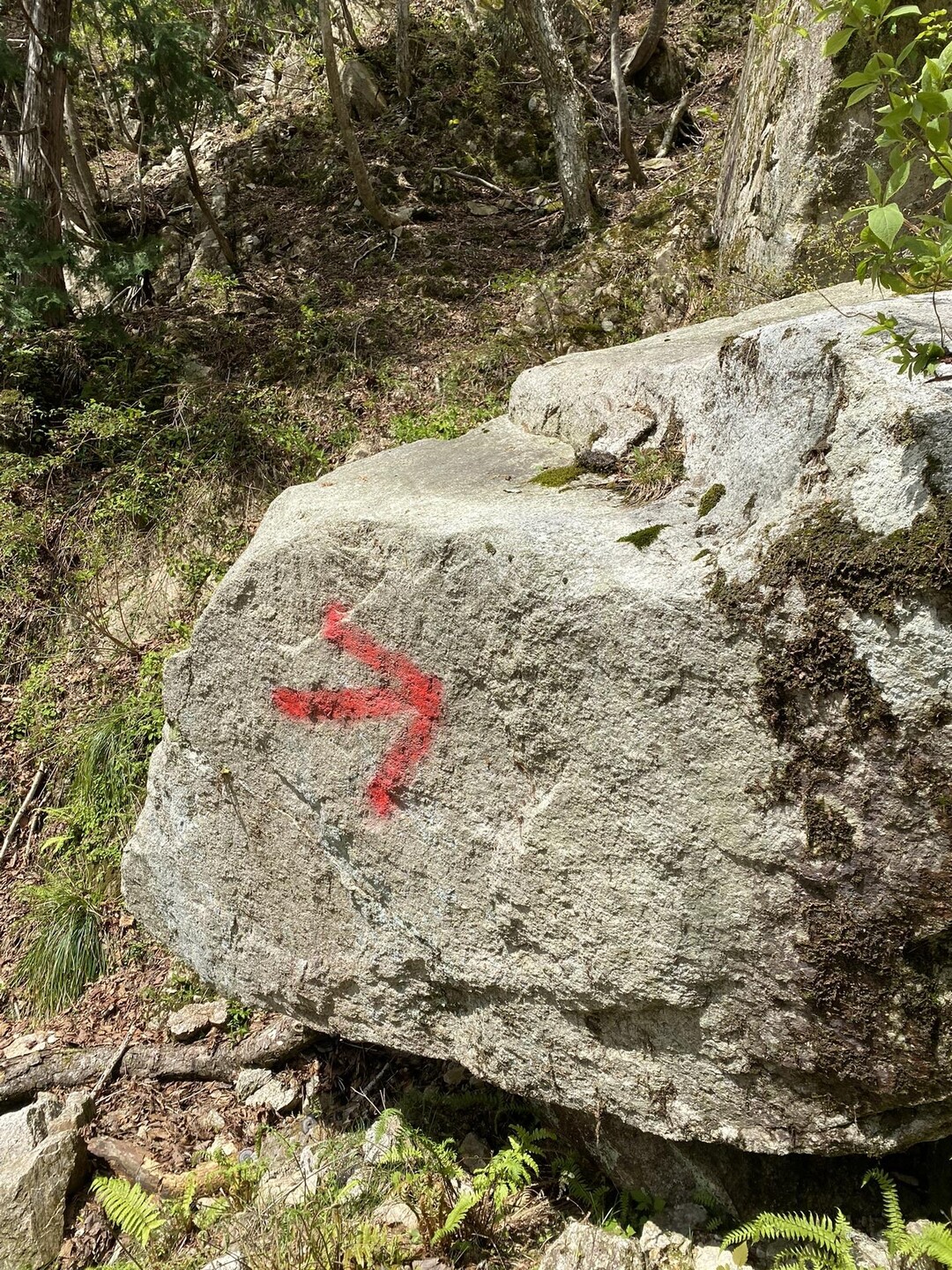 比良山地・武奈ヶ岳・釈迦岳-2023-06-17 / kousuke.ngさんの比良山地・武奈ヶ岳・釈迦岳の活動データ | YAMAP / ヤマップ