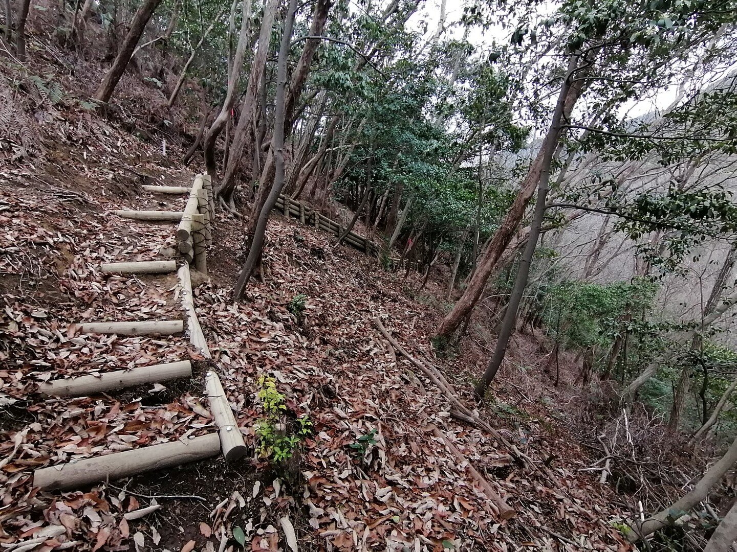 中山道補完歩道819m（鵜沼の森すぐ近くにこんな急坂(高低差100m）が!） / 各務原アルプス（関南アルプス）・八木三山の写真13枚目 / 登り坂（丸太が新しい） | YAMAP / ヤマップ