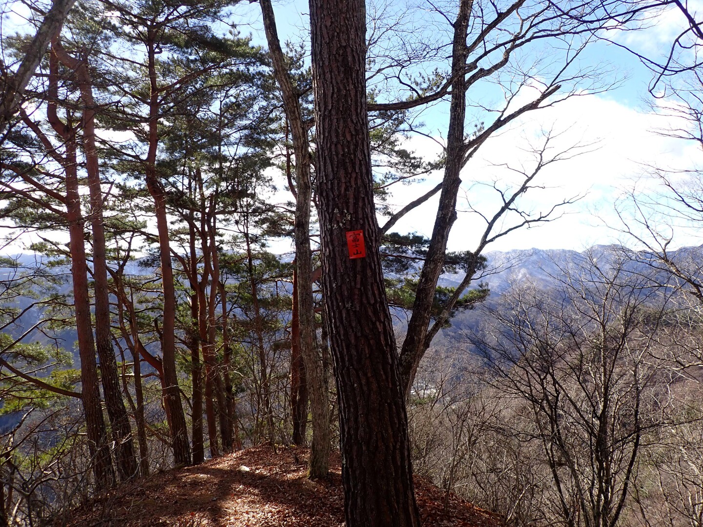 富士山 / yudoburiさんの三才山・戸谷峰の活動データ | YAMAP / ヤマップ