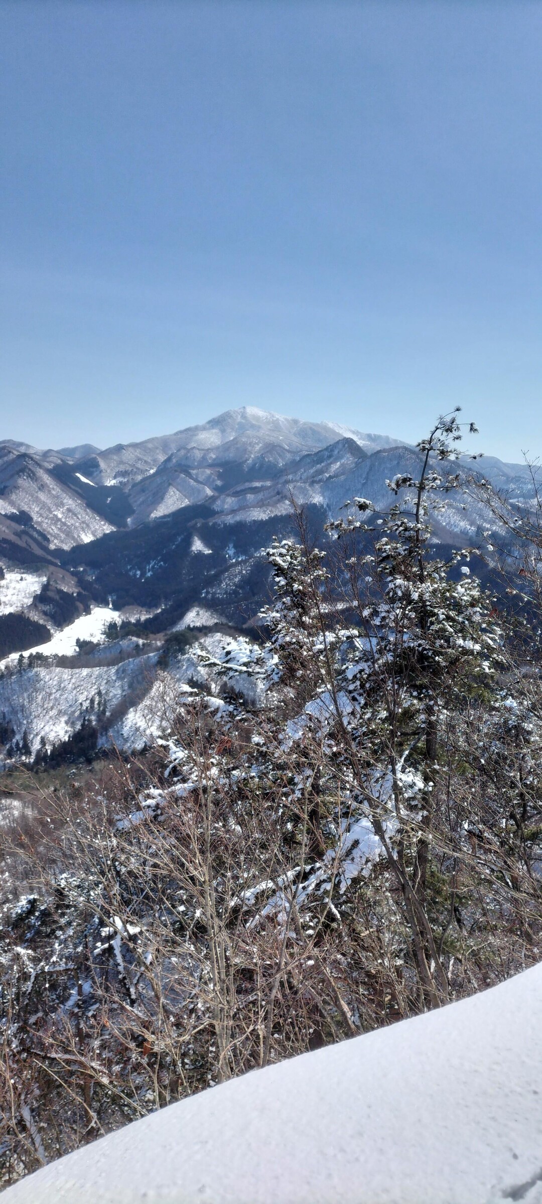 水晶山 / kobaさんの水晶山の活動データ | YAMAP / ヤマップ