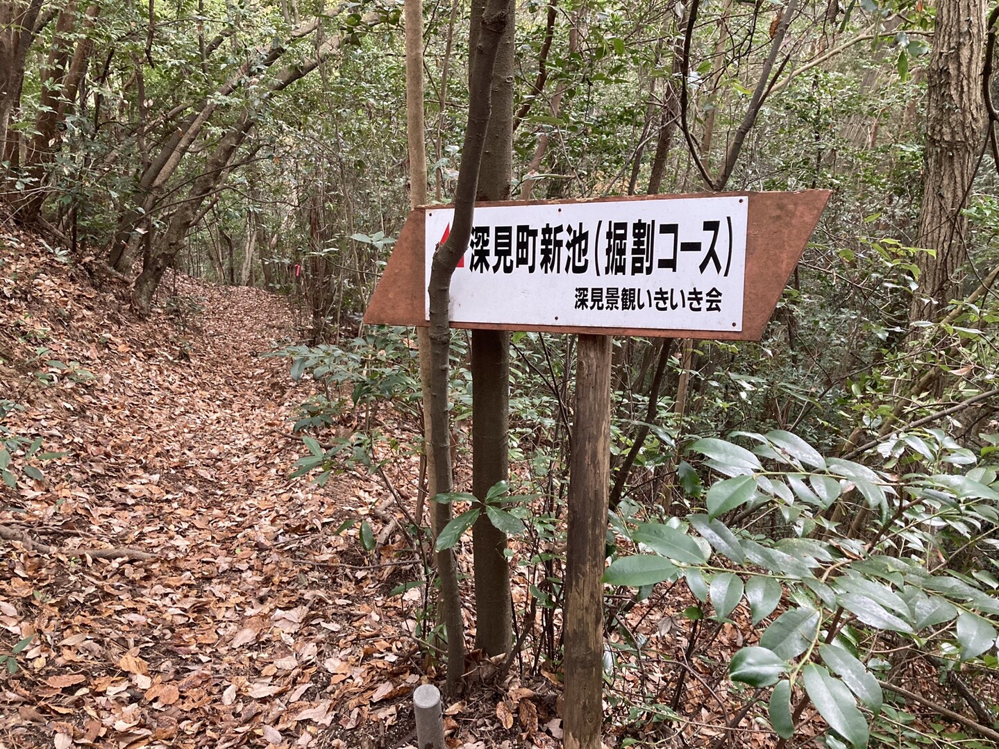 猿投山（掘割・地獄谷コース） / BAKUさんの猿投山・物見山の活動データ | YAMAP / ヤマップ