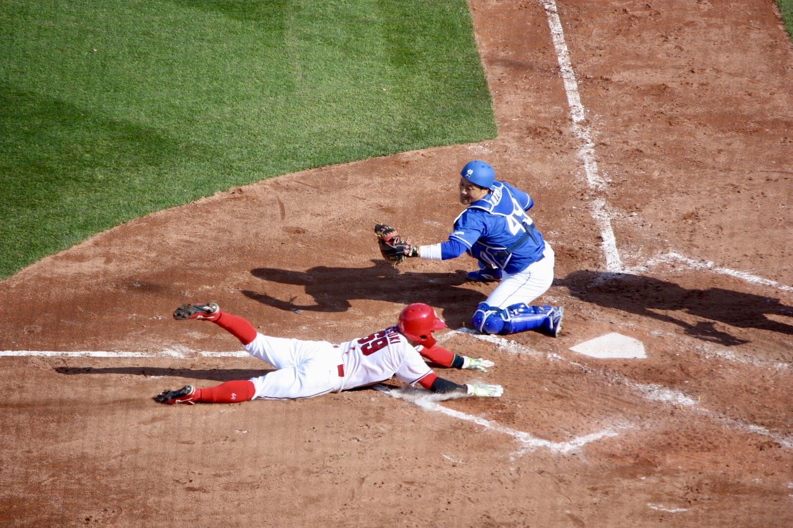 4月7日 対中日戦 ズムスタ 完封されて... / GONKEさんのモーメント | YAMAP / ヤマップ