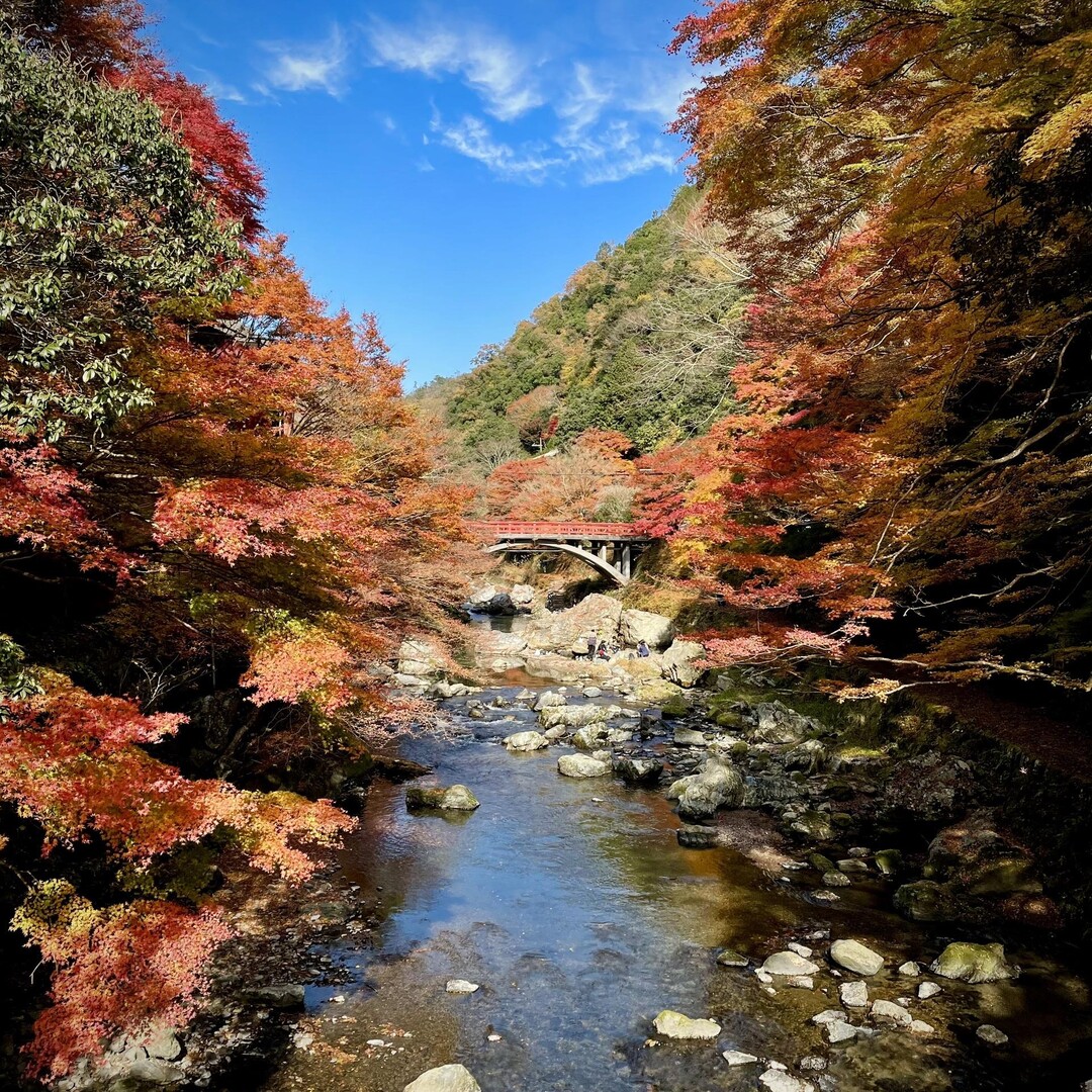 京都一周トレイル Part.1 西山・北山編 / Yasさんの京都一周トレイルの活動データ | YAMAP / ヤマップ