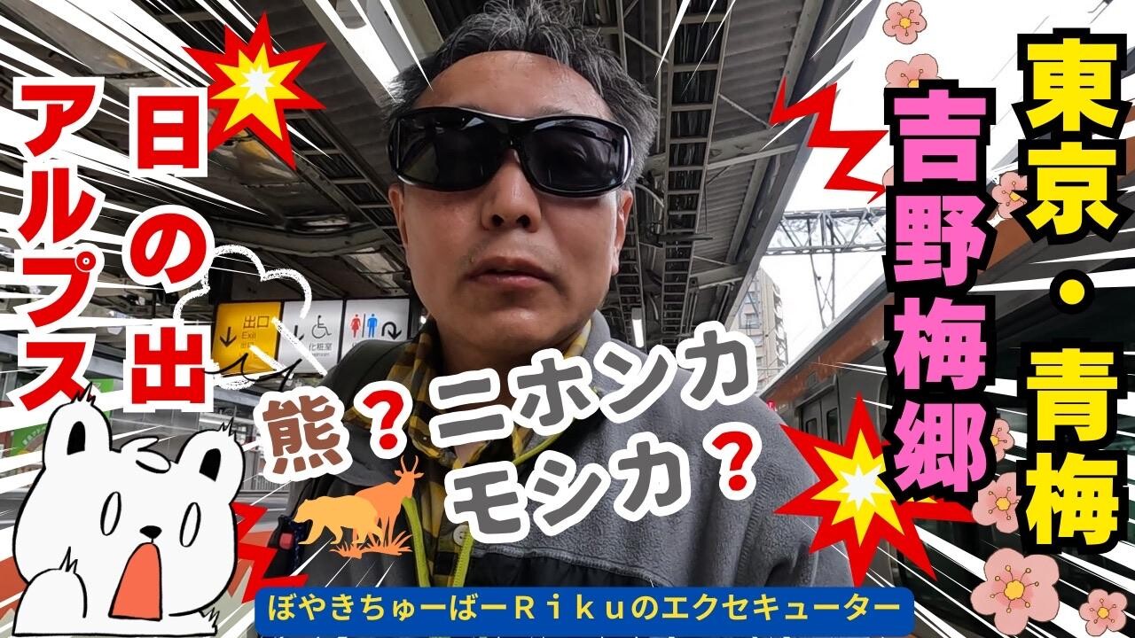 東京、青梅の吉野梅郷から日の出山へ 熊か... / Rikuさんのモーメント | YAMAP / ヤマップ
