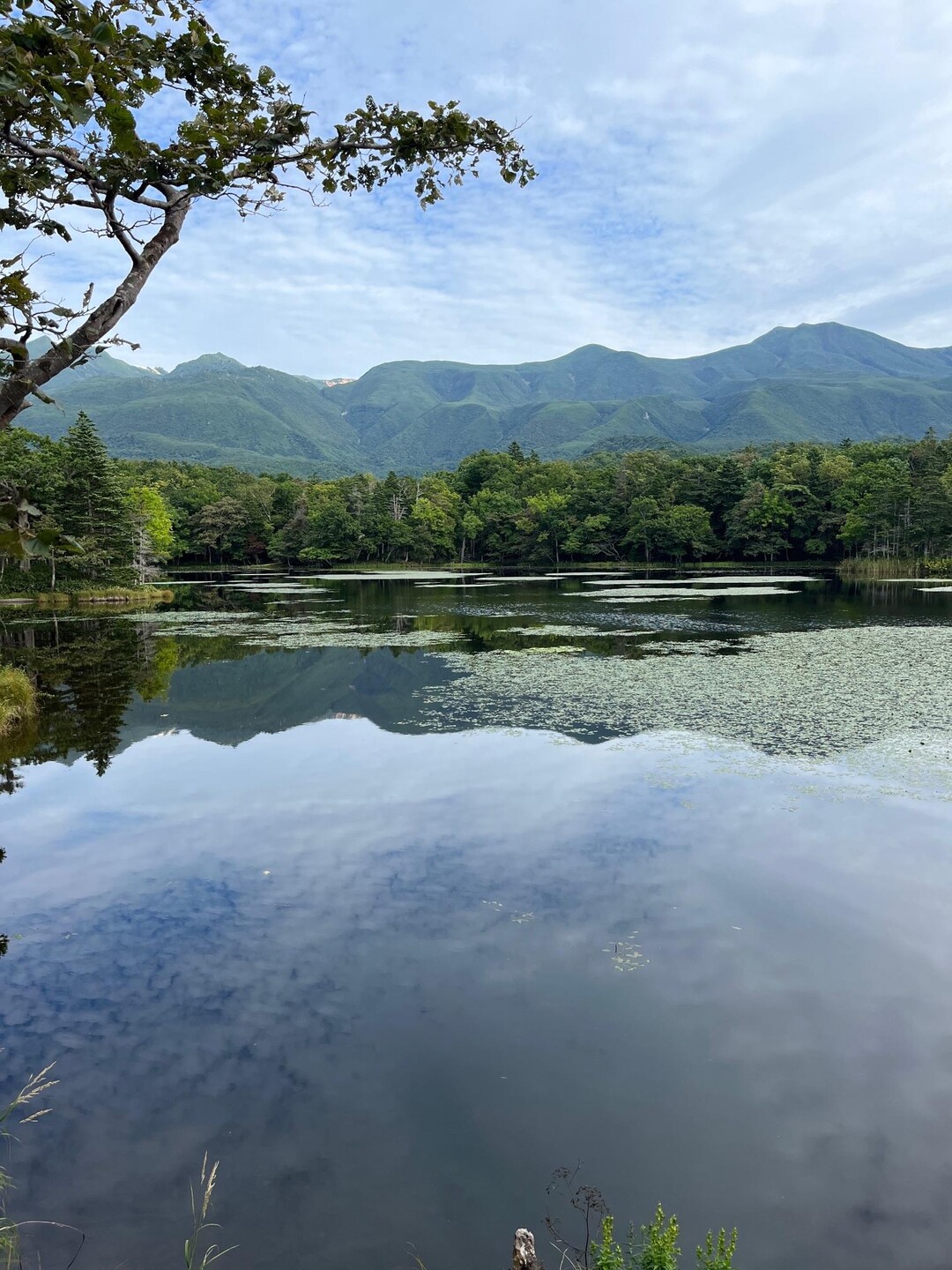 知床五湖リベンジ‼️ 〜北海道の旅〜 / ORIEさんの羅臼岳・硫黄山（知床）・羅臼湖の活動データ | YAMAP / ヤマップ