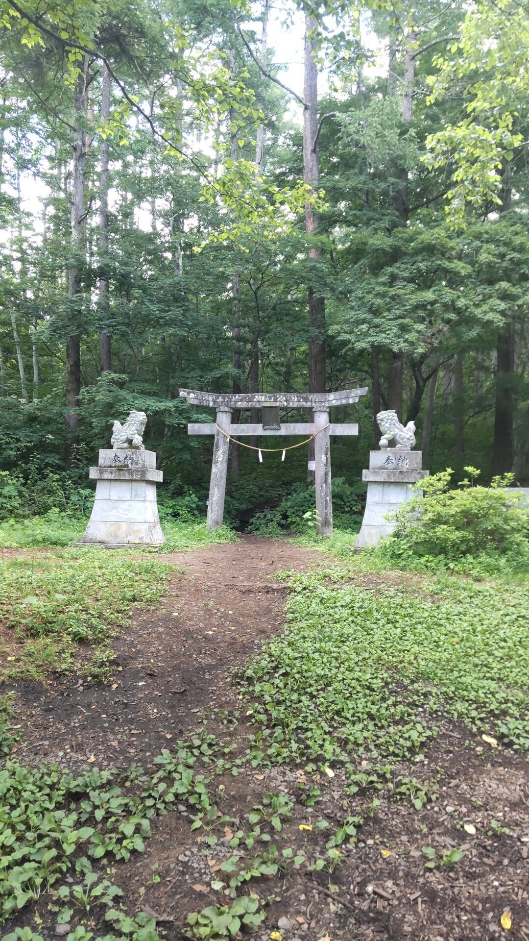 20230716 飯縄山 / いむらやさんの飯縄山の活動データ | YAMAP / ヤマップ