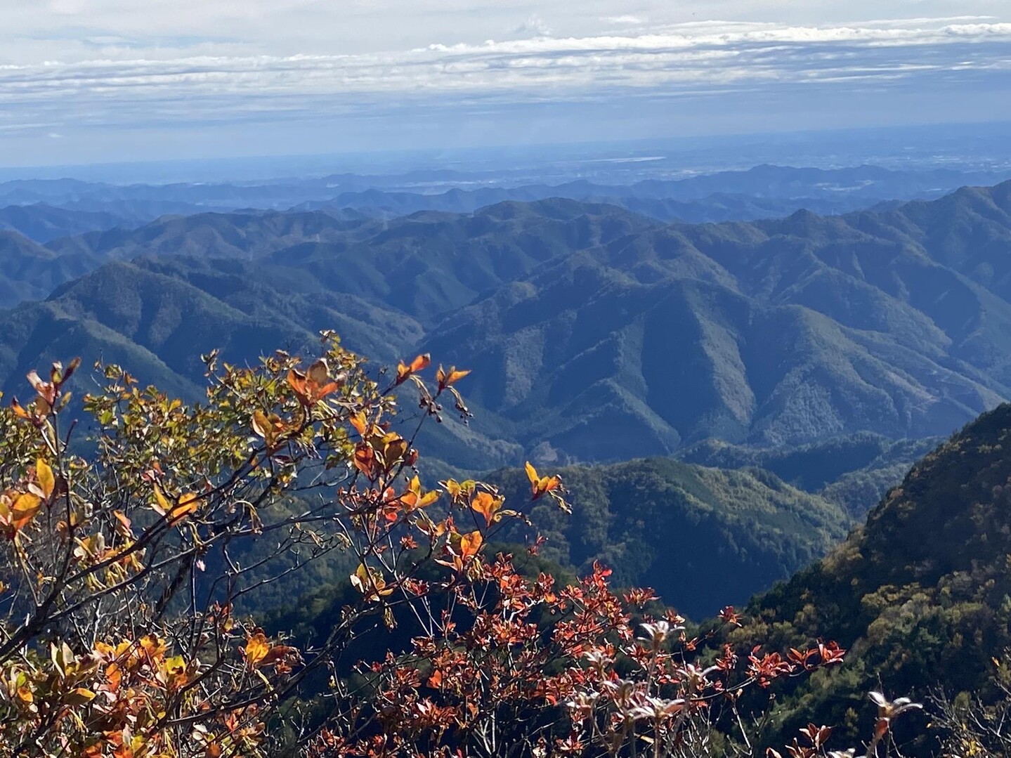 鳴神山（桐生岳） / rabuさんの鳴神山・吾妻山の活動データ | YAMAP / ヤマップ