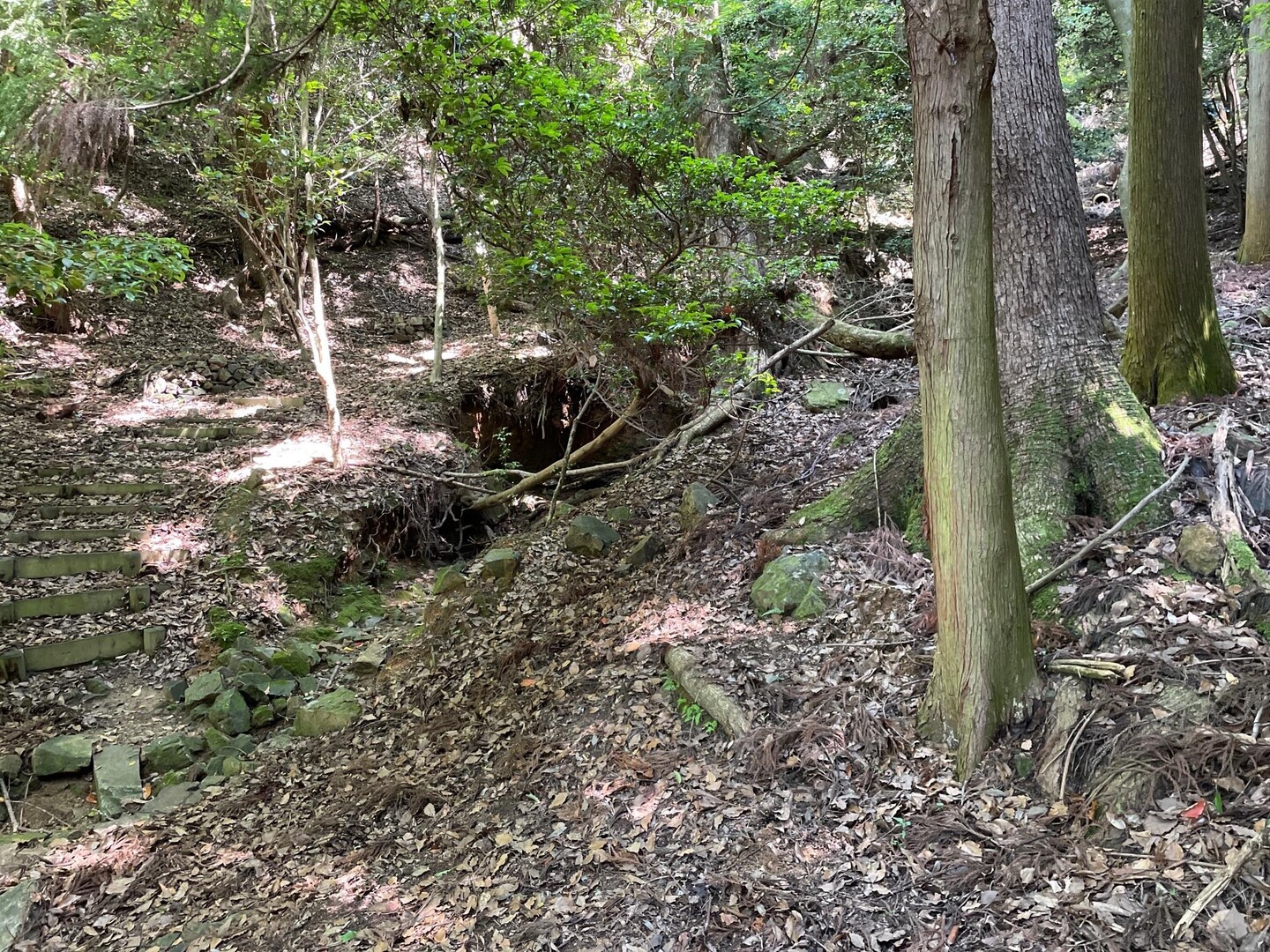 otorinさんの投稿したフィールドメモ | YAMAP / ヤマップ