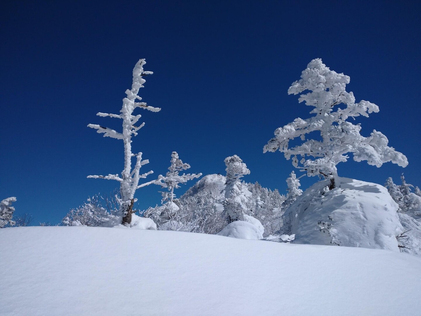 四阿山 / EIさんの四阿山・根子岳の活動データ | YAMAP / ヤマップ