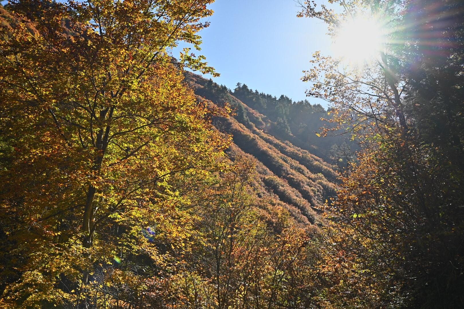 会津朝日岳 / Okita Shimaoさんの会津朝日岳の活動データ | YAMAP / ヤマップ