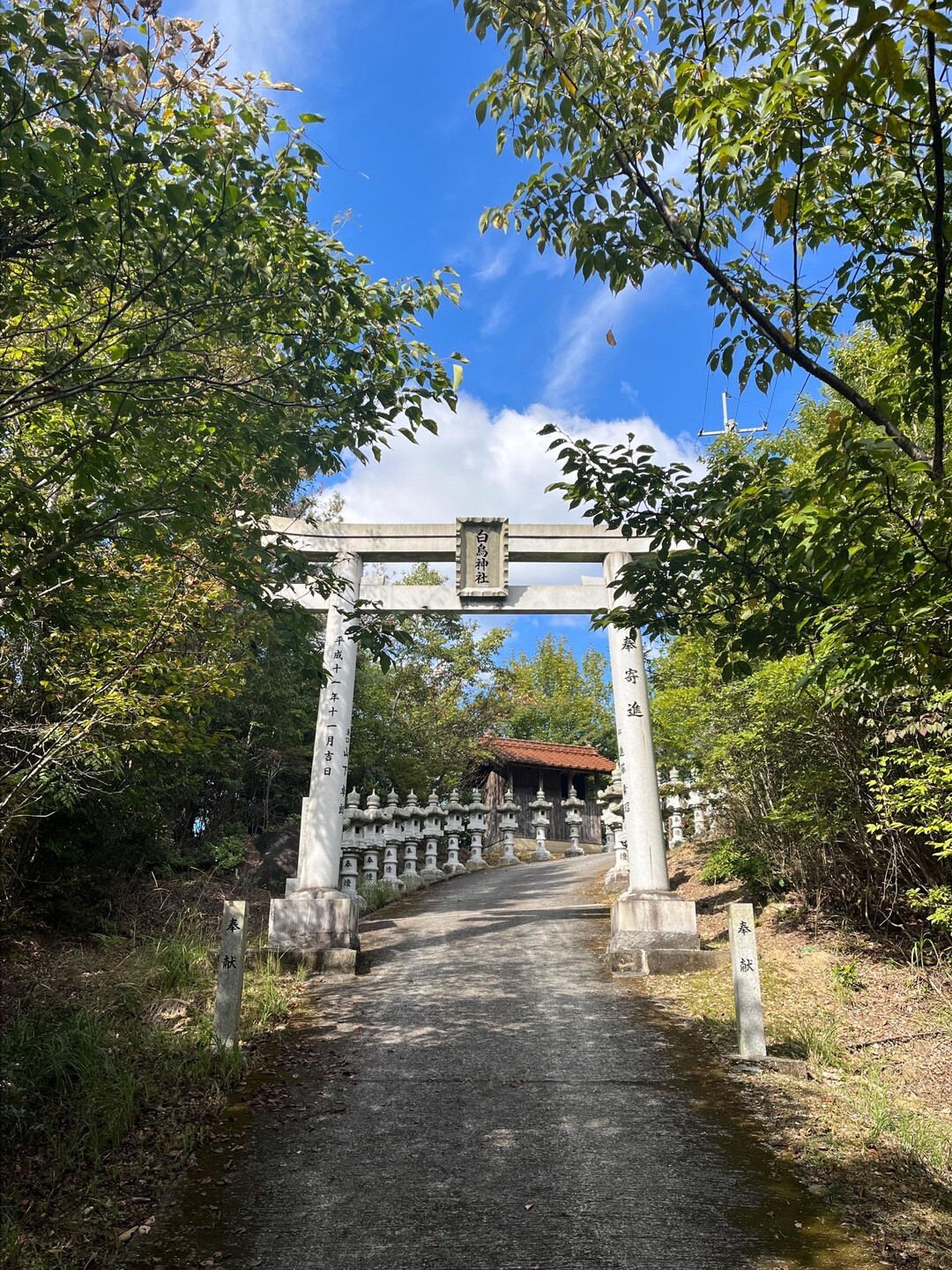 松子山・白鳥山 / mirereさんの白鳥山・馬ヶ背・畠山の活動データ | YAMAP / ヤマップ
