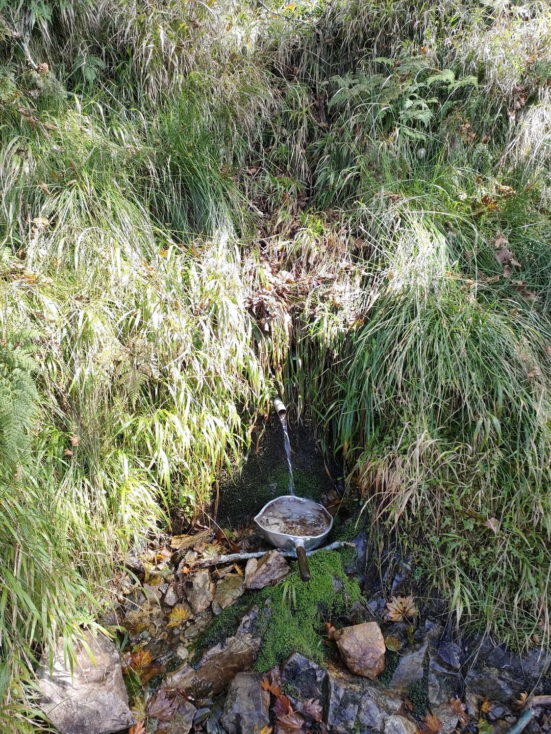 matahari88さんの投稿したフィールドメモ | YAMAP / ヤマップ