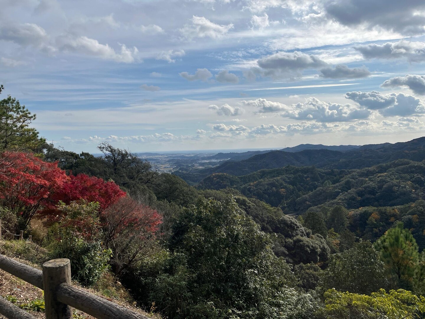 小笠山 / ariさんの小笠山の活動データ | YAMAP / ヤマップ