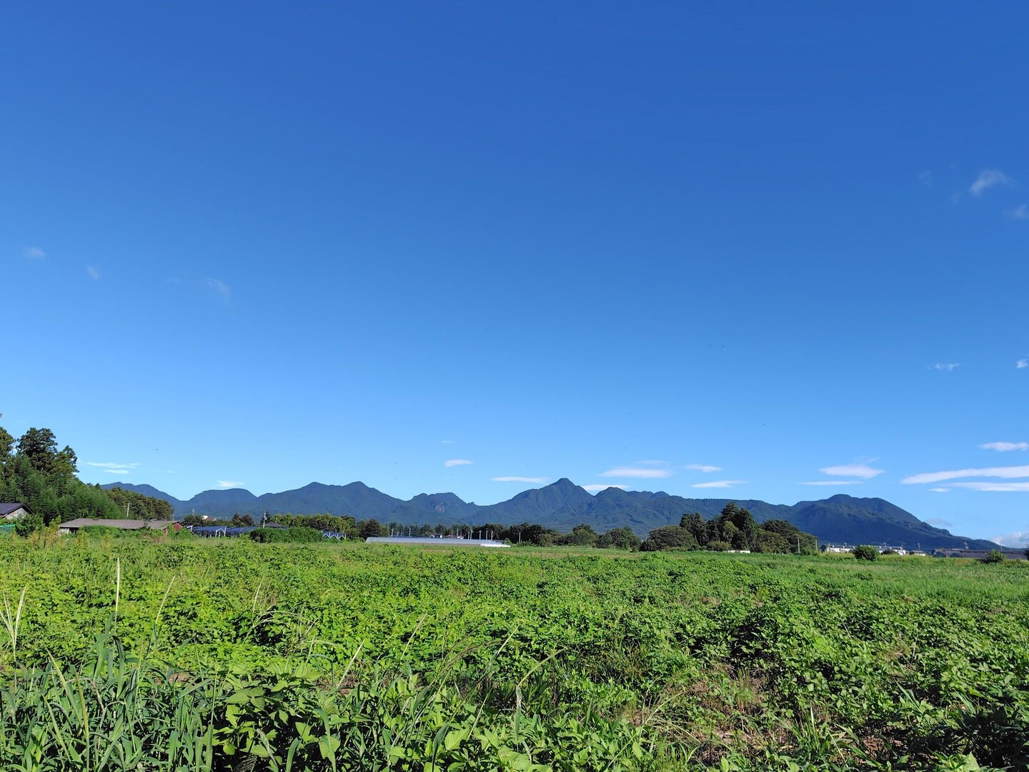 おはようございます。 今朝の榛名山107... / かたしげさんのモーメント | YAMAP / ヤマップ