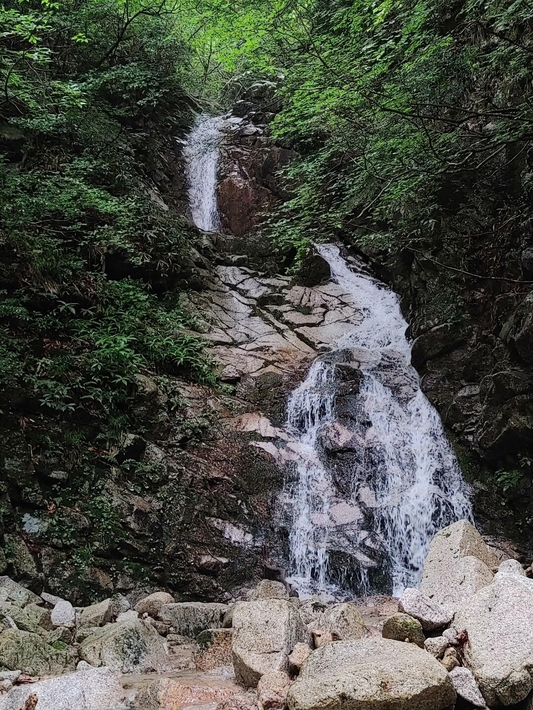 R 5 6 20 釈迦ヶ岳・猫岳・羽鳥峰 / むらの山ちゃんさんの釈迦ヶ岳の活動データ | YAMAP / ヤマップ
