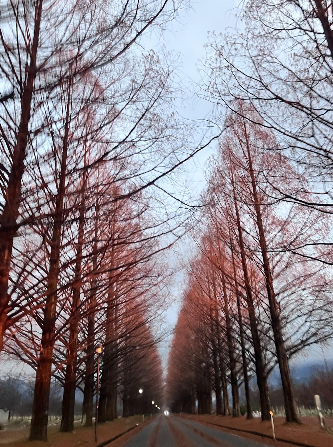 MSRライトニングアッセントご臨終 / ryuji1700さんの三国山・乗鞍岳・赤坂山の活動データ | YAMAP / ヤマップ