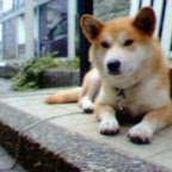 s.tのページ | YAMAP / ヤマップ