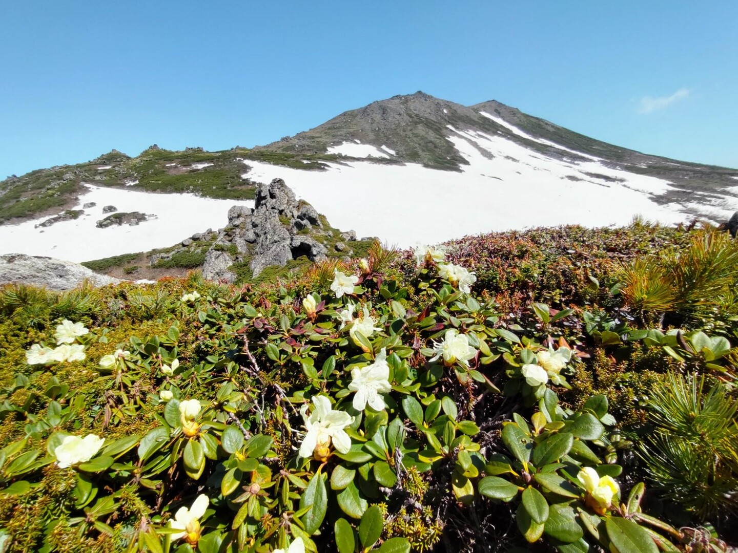 トムラウシ山 / ezo-wolfさんの大雪山系・旭岳・トムラウシの活動データ | YAMAP / ヤマップ