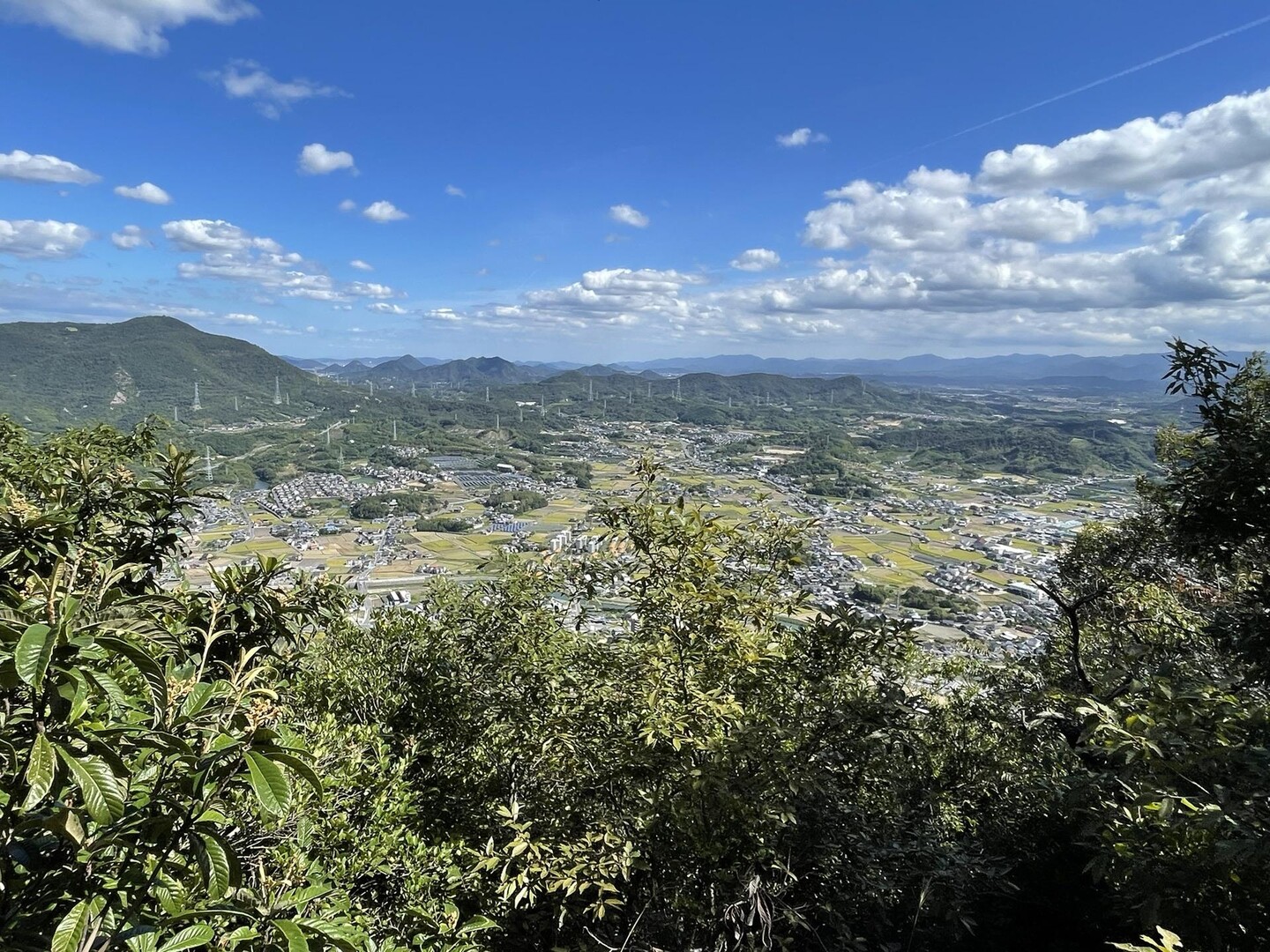 y.kさんの投稿したフィールドメモ | YAMAP / ヤマップ