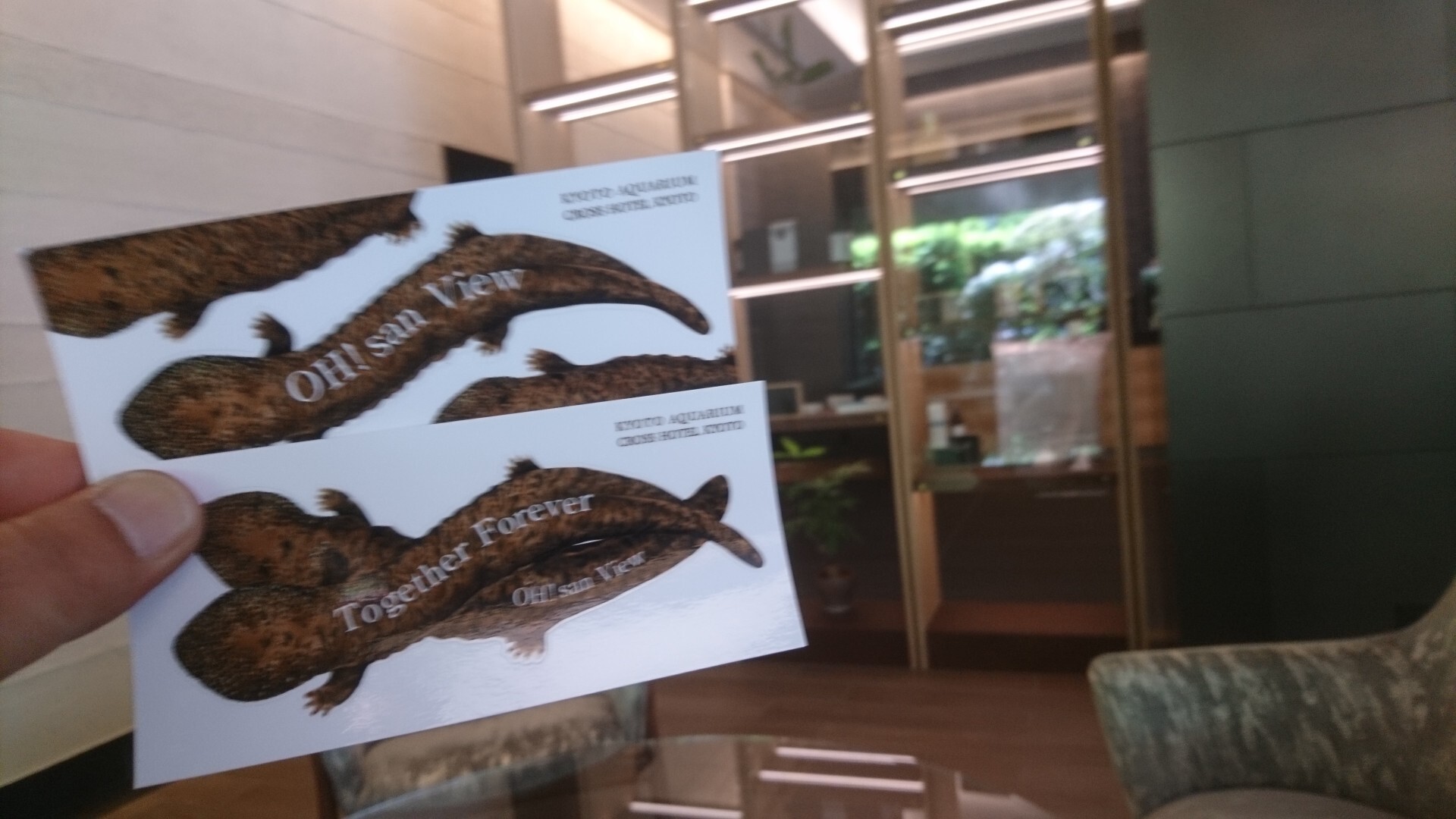 クロスホテル京都さんにて新しい京都遊びを... / bptanakaさんのモーメント | YAMAP / ヤマップ