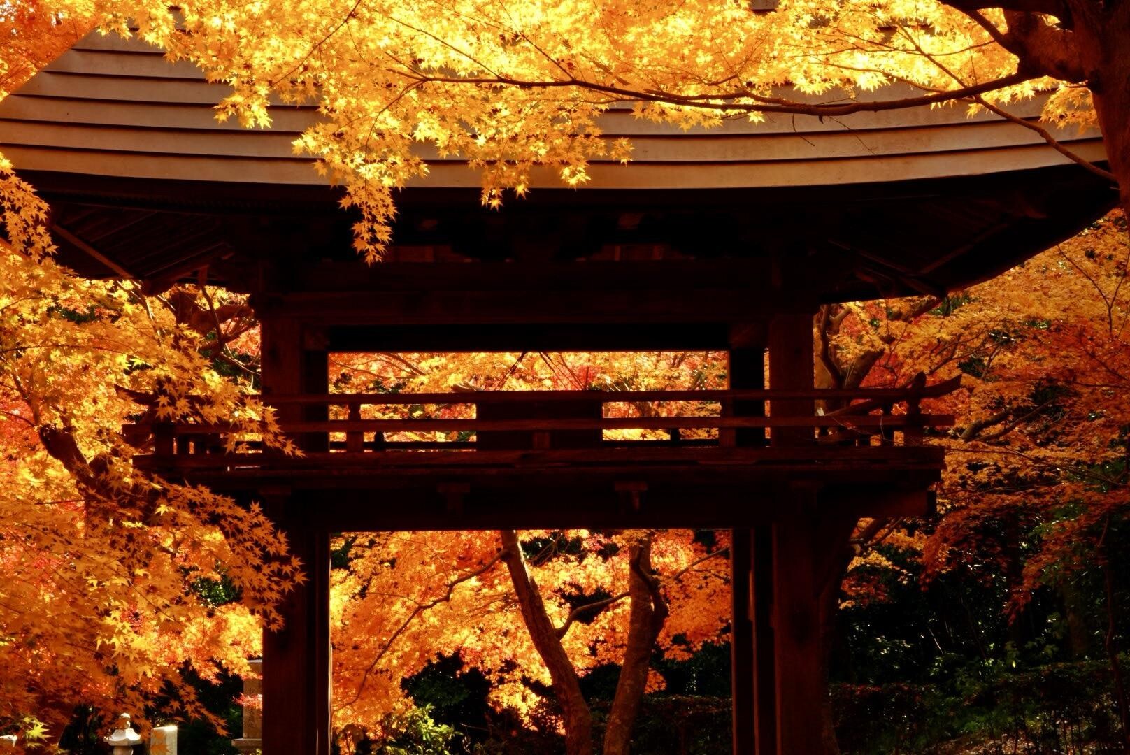 皆さんがアップされている紅葉の写真に惹か... / K-OPENさんのモーメント | YAMAP / ヤマップ