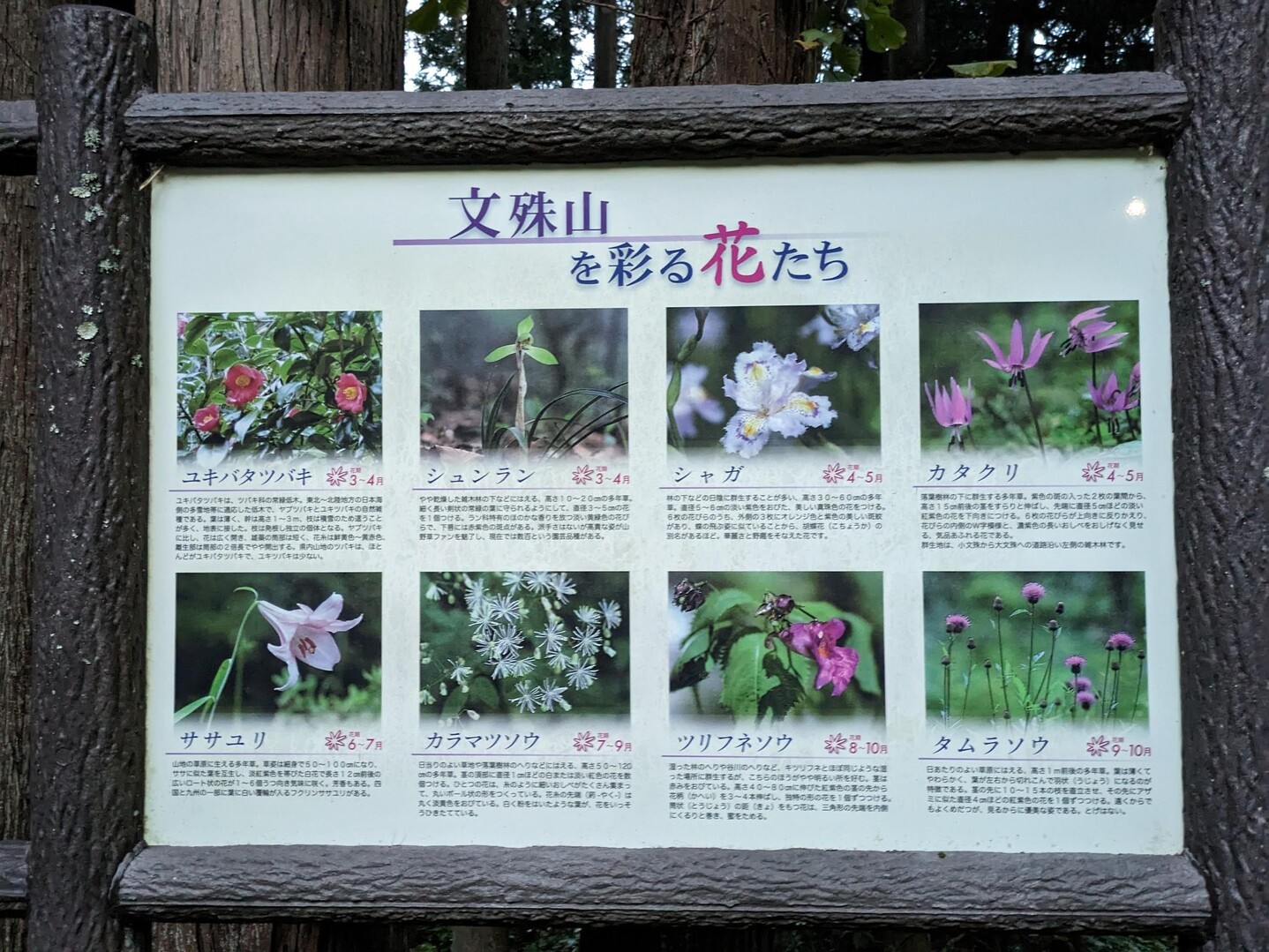 朝4:30集合…5:00には登り始めてた... / kecoさんのモーメント | YAMAP / ヤマップ