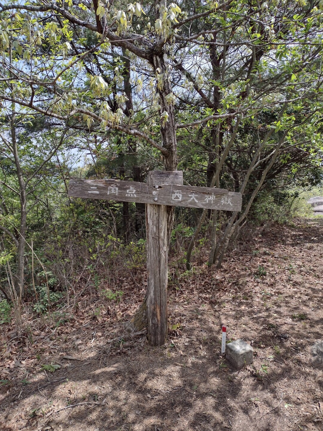 東天神嶽・中天神嶽・天神嶽（西天神獄） / taizo-sさんの天神嶽の活動データ | YAMAP / ヤマップ