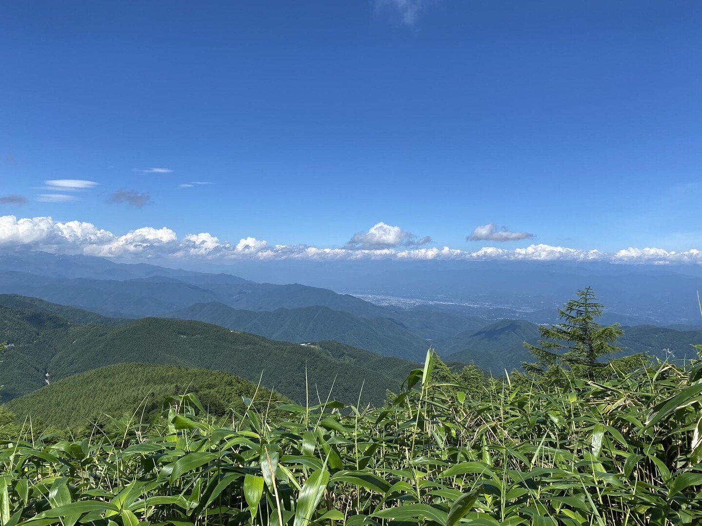恵那山 / kyoさんの恵那山・大判山・神坂山の活動データ | YAMAP / ヤマップ