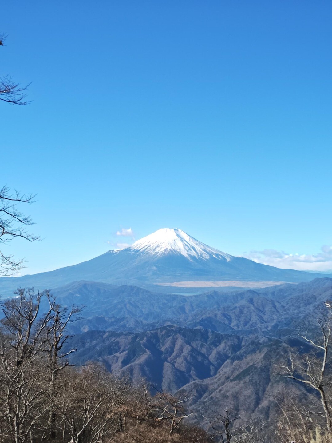 いよっ 日本一 / Blue Sky Blueさんの塔ノ岳・丹沢山・蛭ヶ岳の活動データ | YAMAP / ヤマップ
