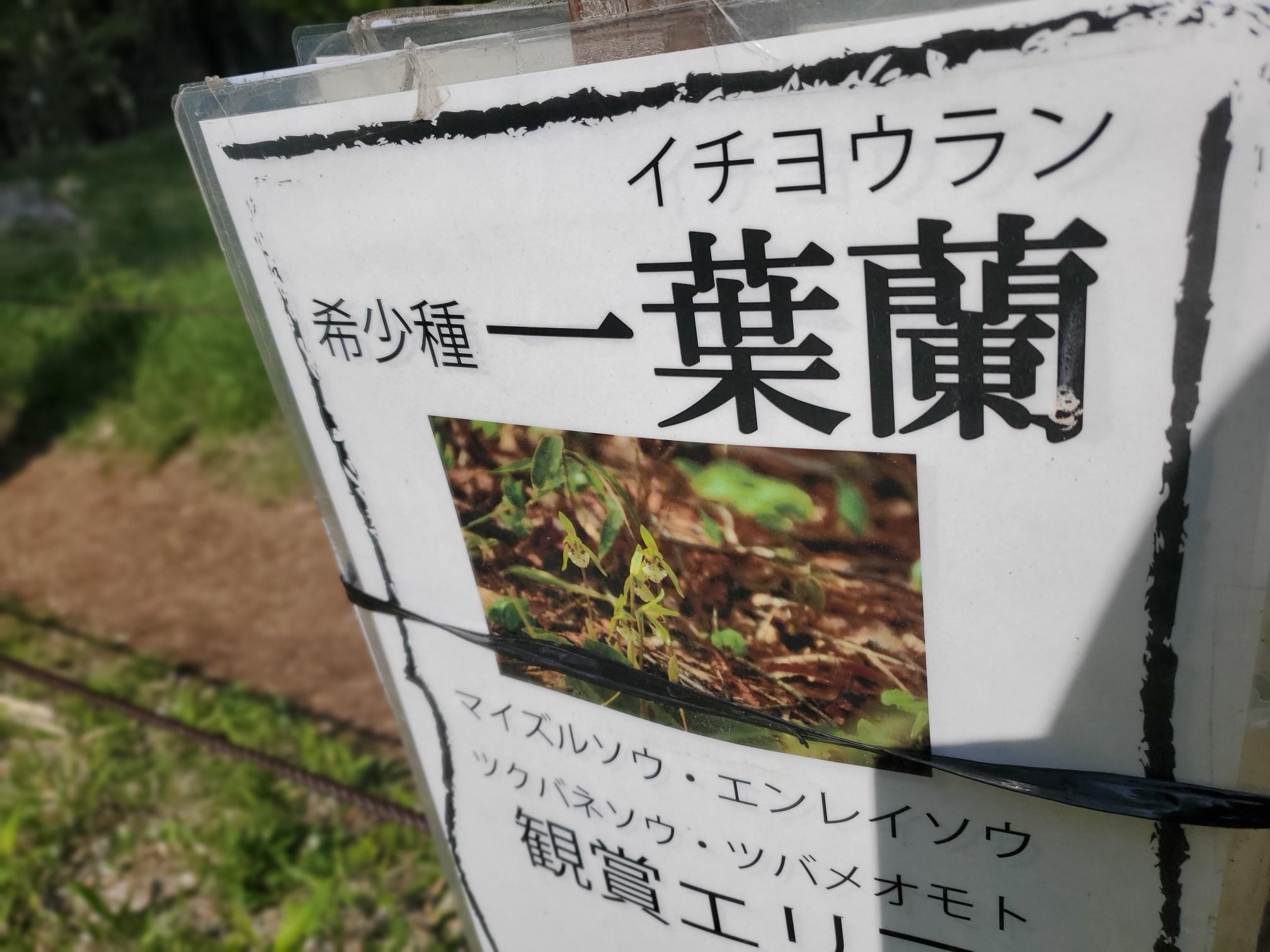 入笠山 / 🍒sa-ki🍒さんの入笠山の活動データ | YAMAP / ヤマップ