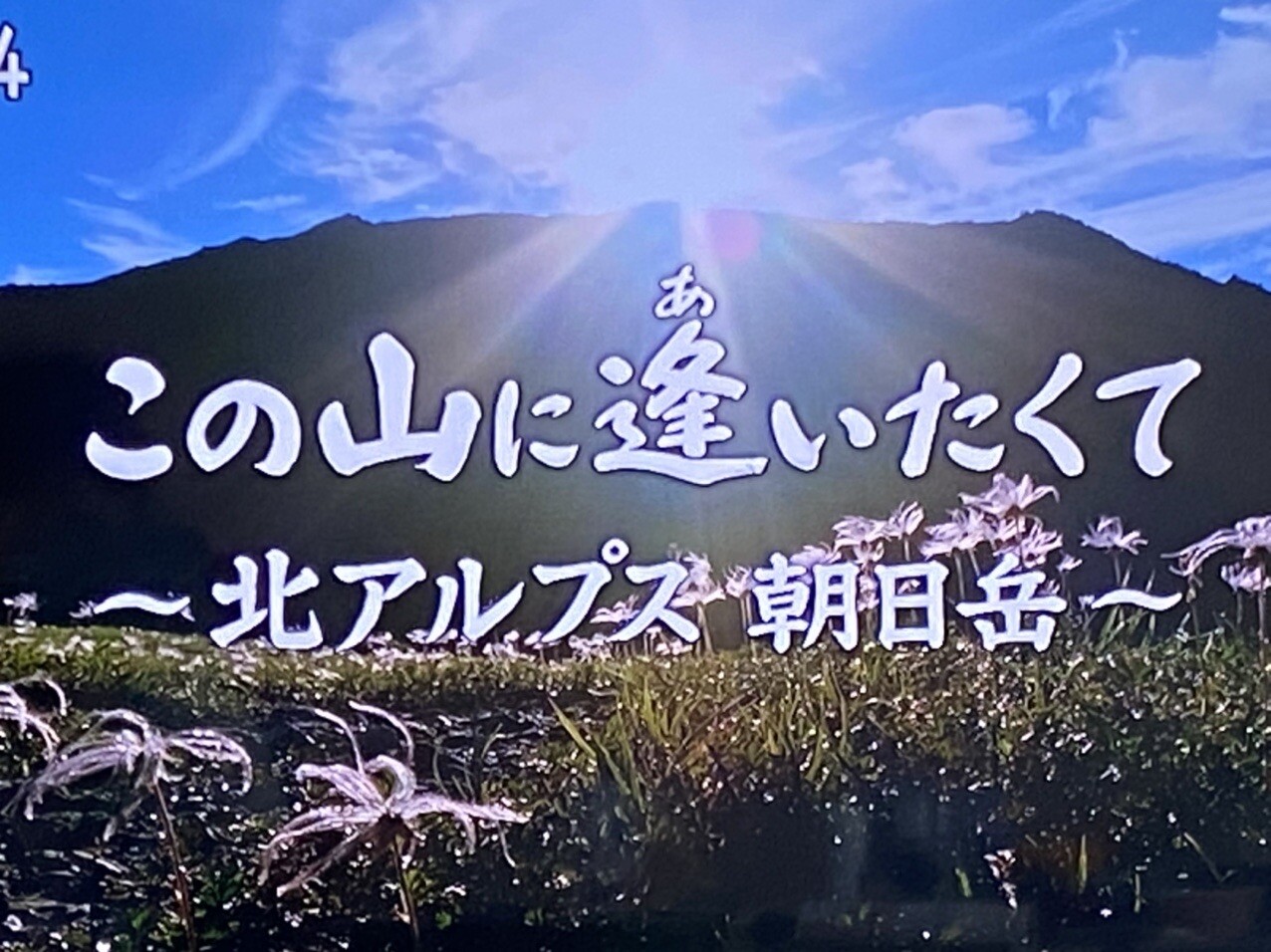 今朝のNHK「小さな旅」が富山の朝日小屋... / Ricoさんのモーメント | YAMAP / ヤマップ