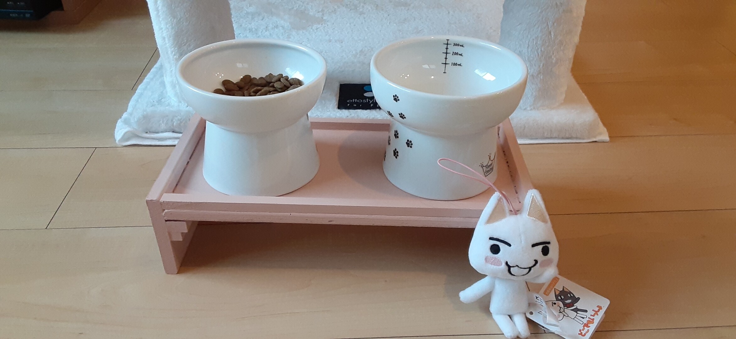 愛猫の食器置きを作りました カインズホ... / mokoさんのモーメント | YAMAP / ヤマップ