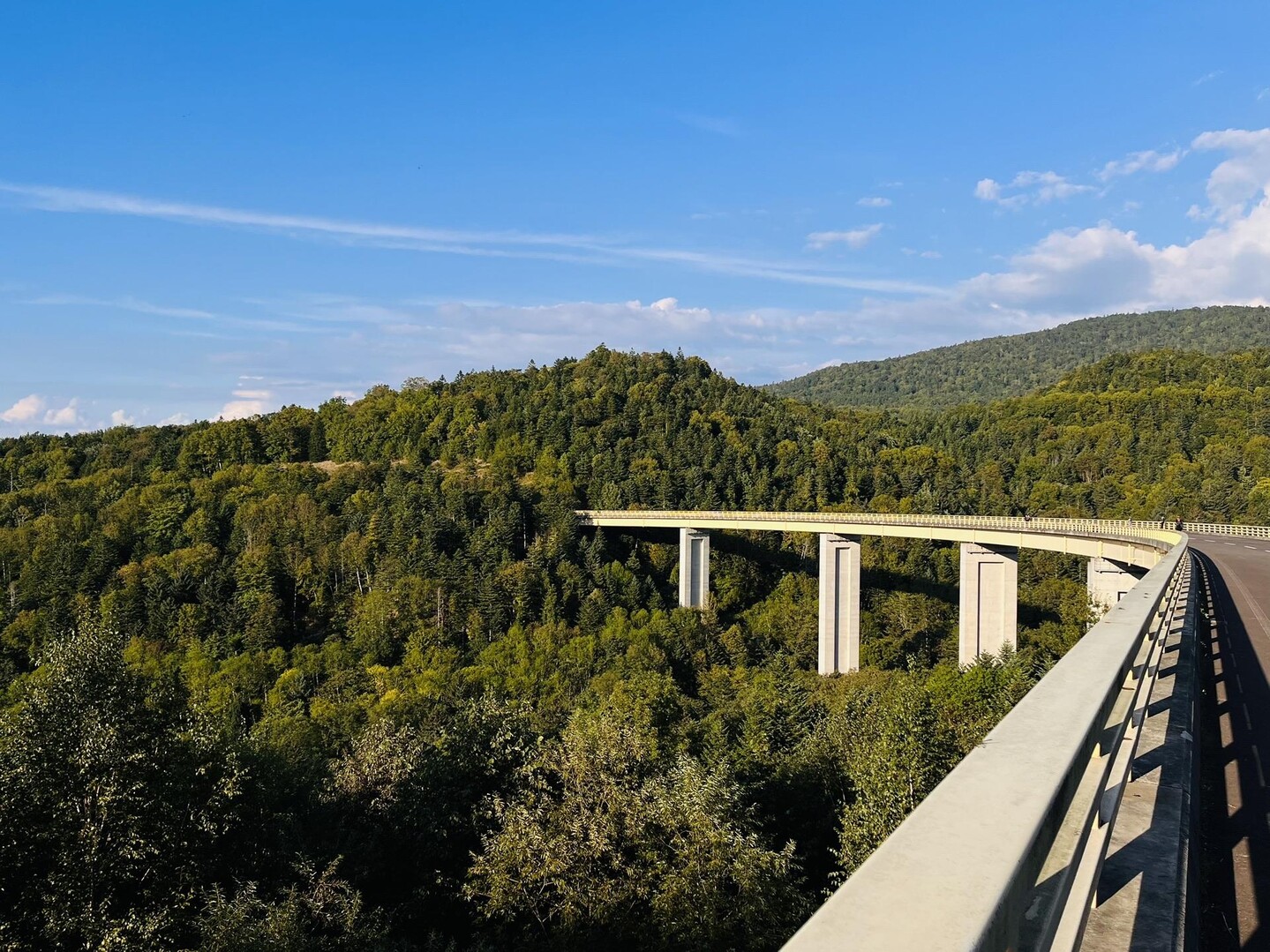 去年はガスガスで真っ白けっけだったチョボ... / Hiroさんのモーメント | YAMAP / ヤマップ