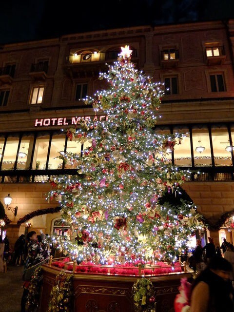 皆さま、Merry Christmas ... / まきねこ🐱さんのモーメント | YAMAP / ヤマップ