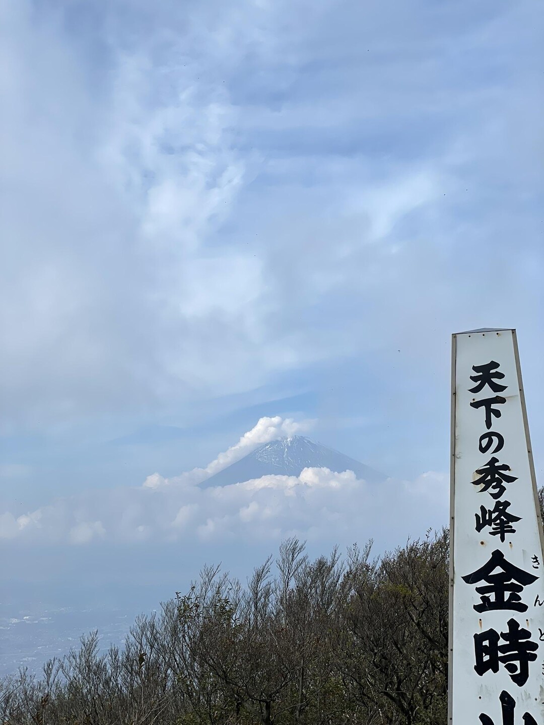 金時山・長尾山 / ANNAさんの金時山・明神ヶ岳の活動データ | YAMAP / ヤマップ
