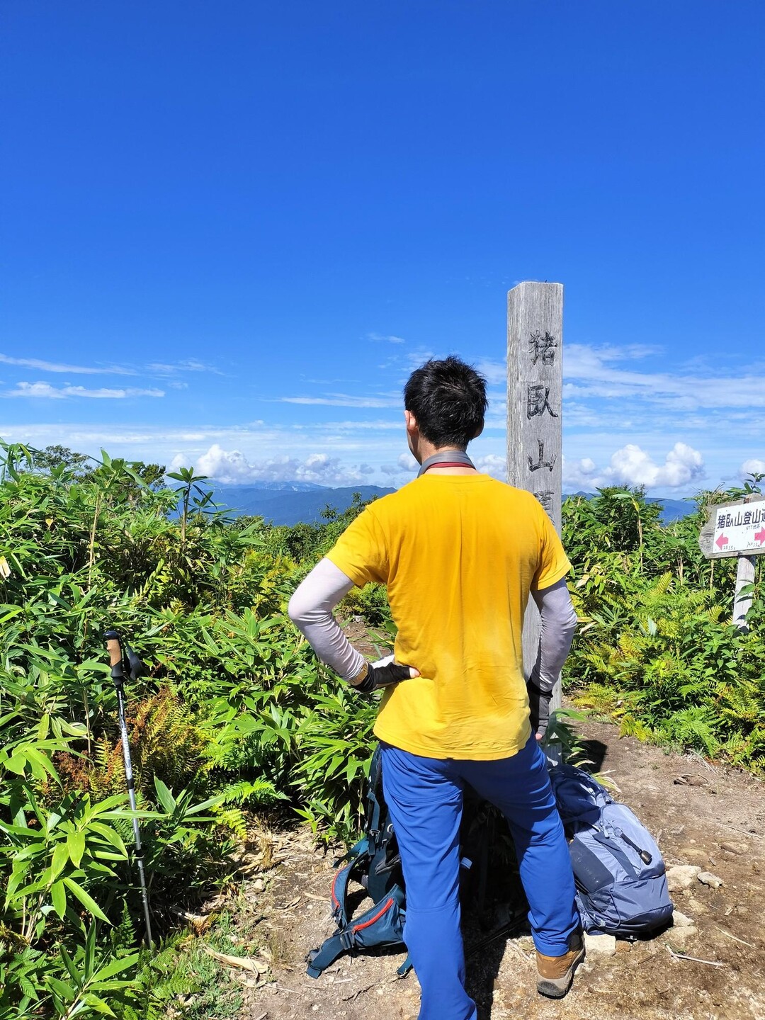 夏の猪臥山 / shinjiさんの猪臥山の活動データ | YAMAP / ヤマップ