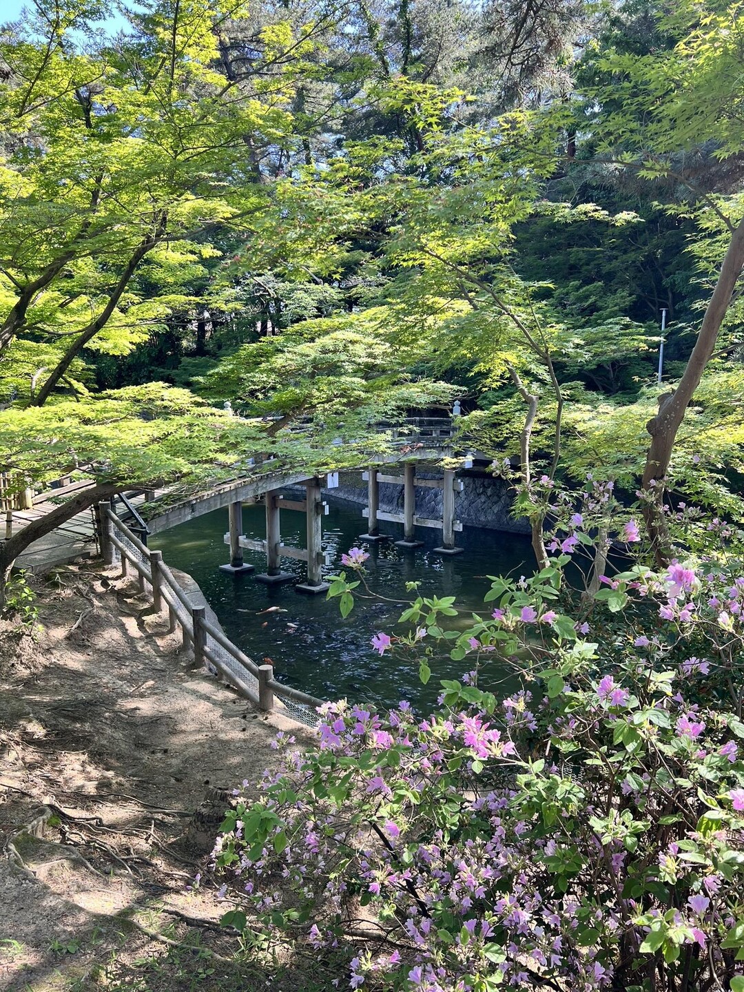 ウォーキング-2024-05-03 / Monica さんのウォーキングの活動データ | YAMAP / ヤマップ