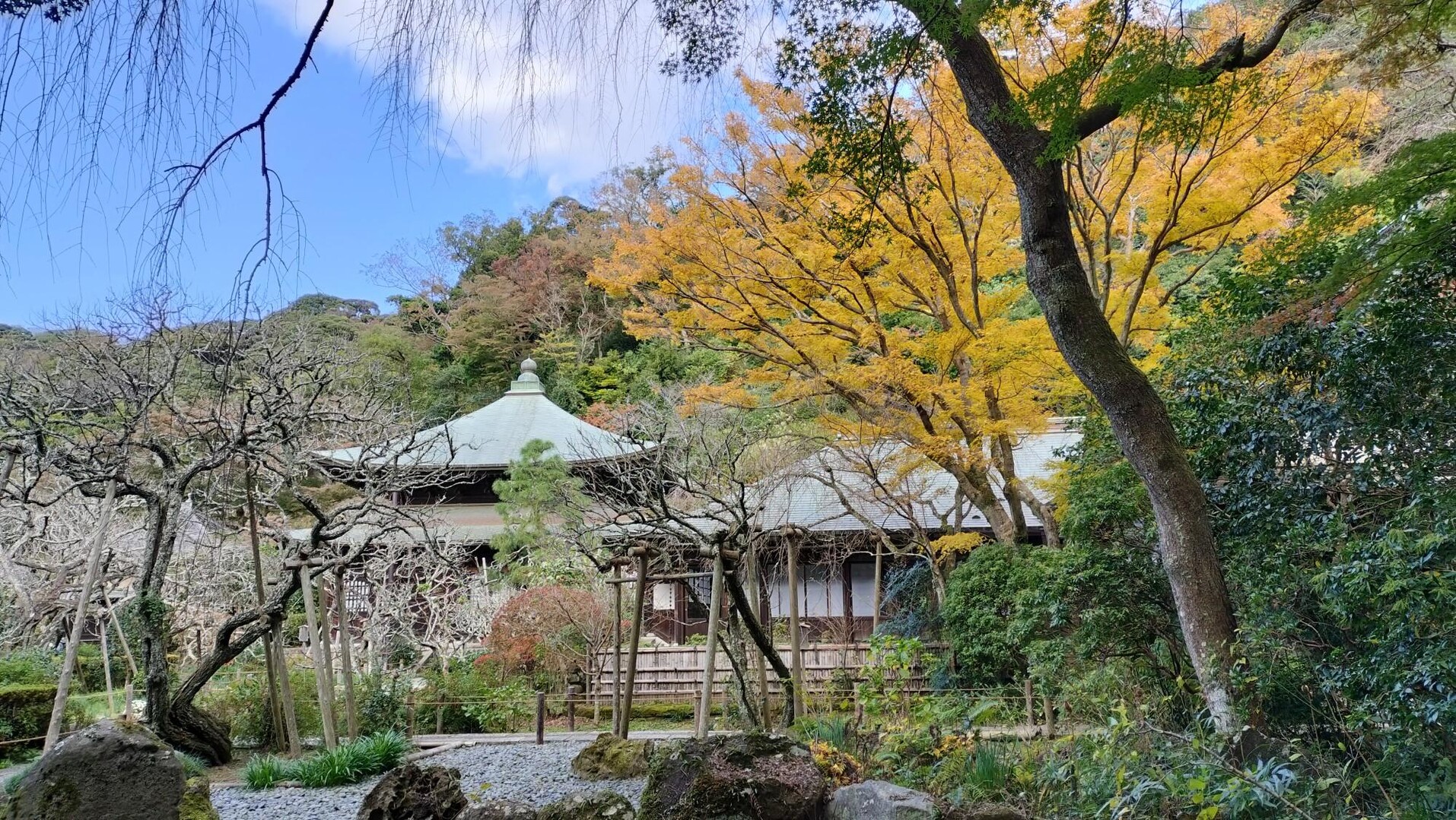 ハイキング部、鎌倉散策👣 / まーさんさんの鎌倉アルプス（大平山・天台山）の活動データ | YAMAP / ヤマップ