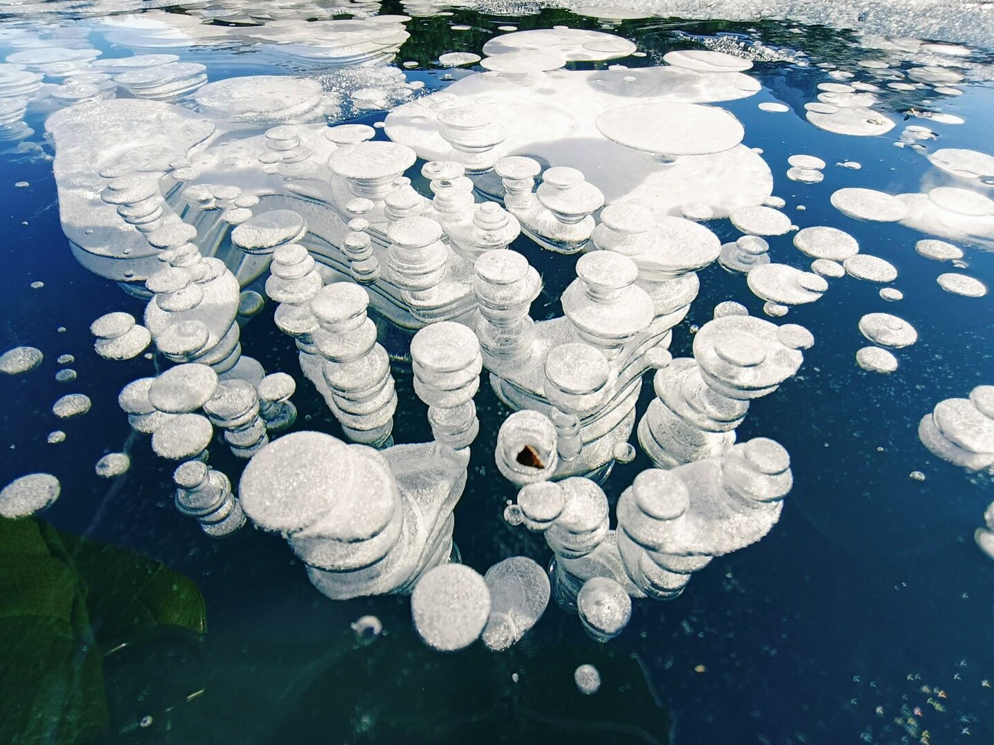 アーイスバァボッ‼️ついでに、雌阿寒岳 / luckyさんの雌阿寒岳・阿寒富士・白湯山の活動日記 | YAMAP / ヤマップ