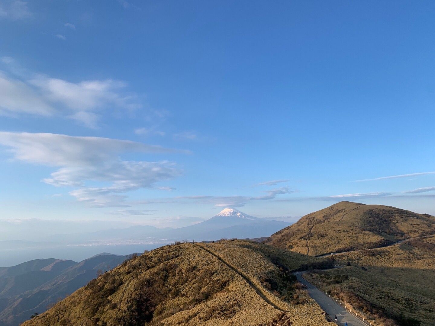ITJ 70K 無事完走 / Goriさんの棚場山・魂の山・猫越岳の活動日記 | YAMAP / ヤマップ