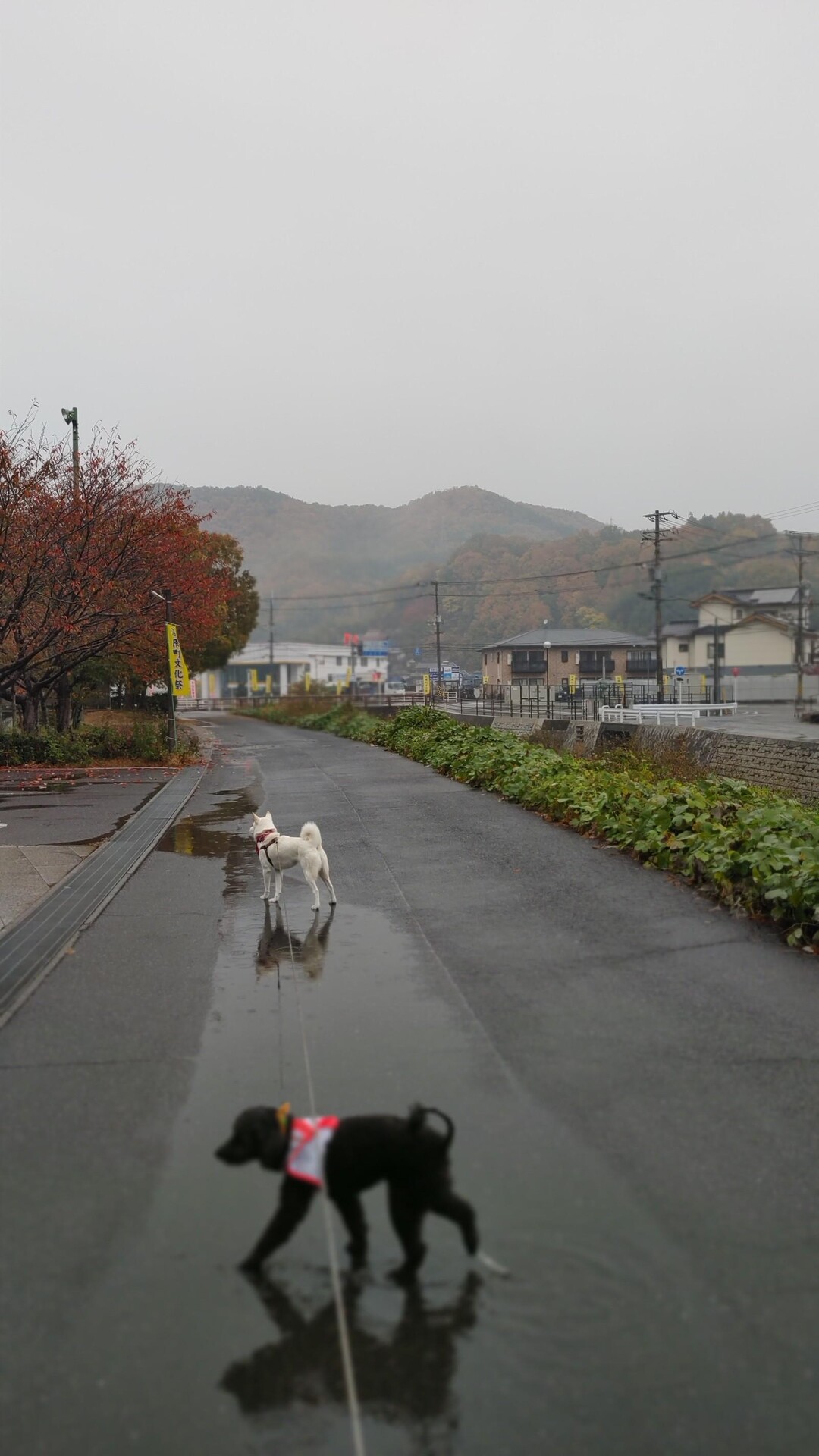 せっかくの休日なのに☔⤵️ 仕方なくガー... / GHハコさんのモーメント | YAMAP / ヤマップ