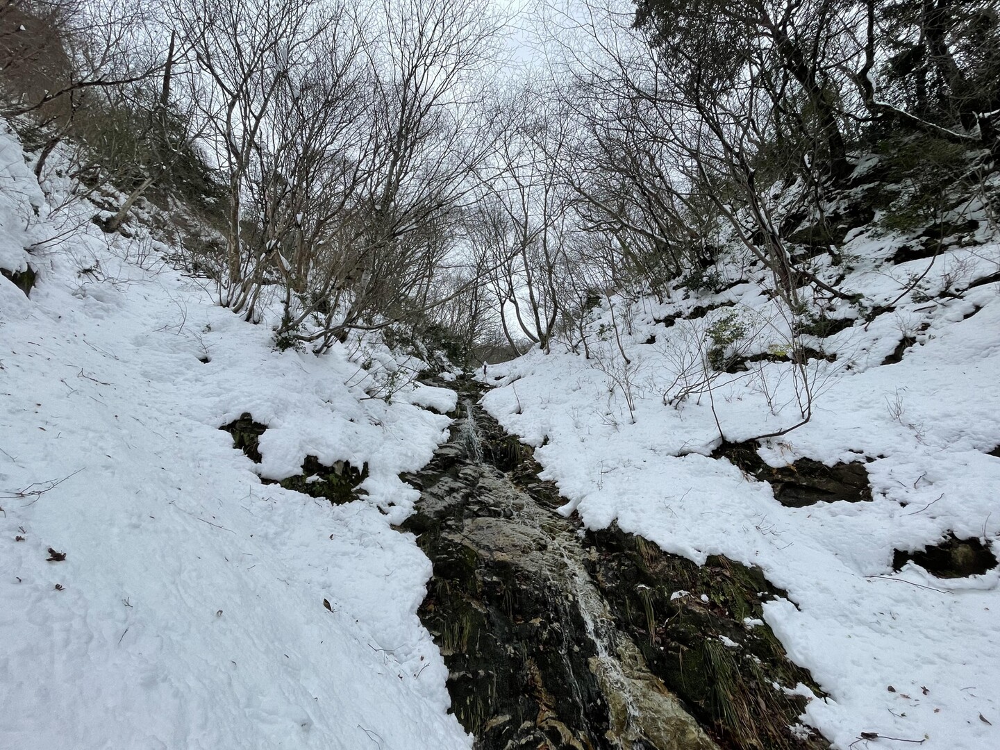 日野山 中平吹川本流から / ベルグラさんの日野山の活動日記 | YAMAP / ヤマップ