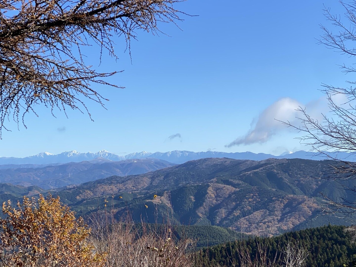 寧比曽岳 / mahmoさんの寧比曽岳・筈ヶ岳・出来山の活動データ | YAMAP / ヤマップ