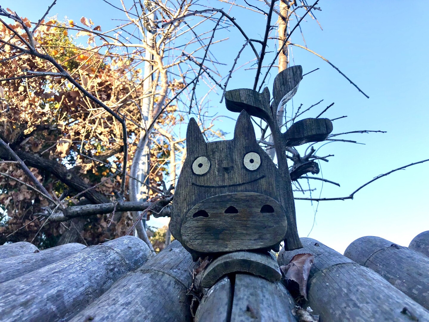 トトロの森から八国山-落ち葉の小道をのんびりハイキング / mochaさんの所沢市の活動データ | YAMAP / ヤマップ