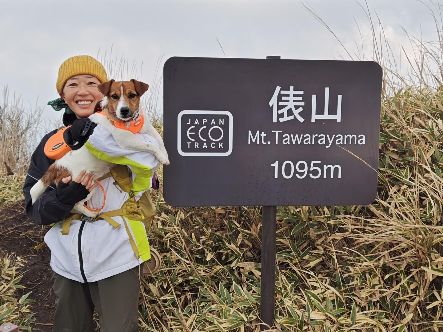 俵山 / megさんの俵山・冠ヶ岳・清栄山の活動データ | YAMAP / ヤマップ