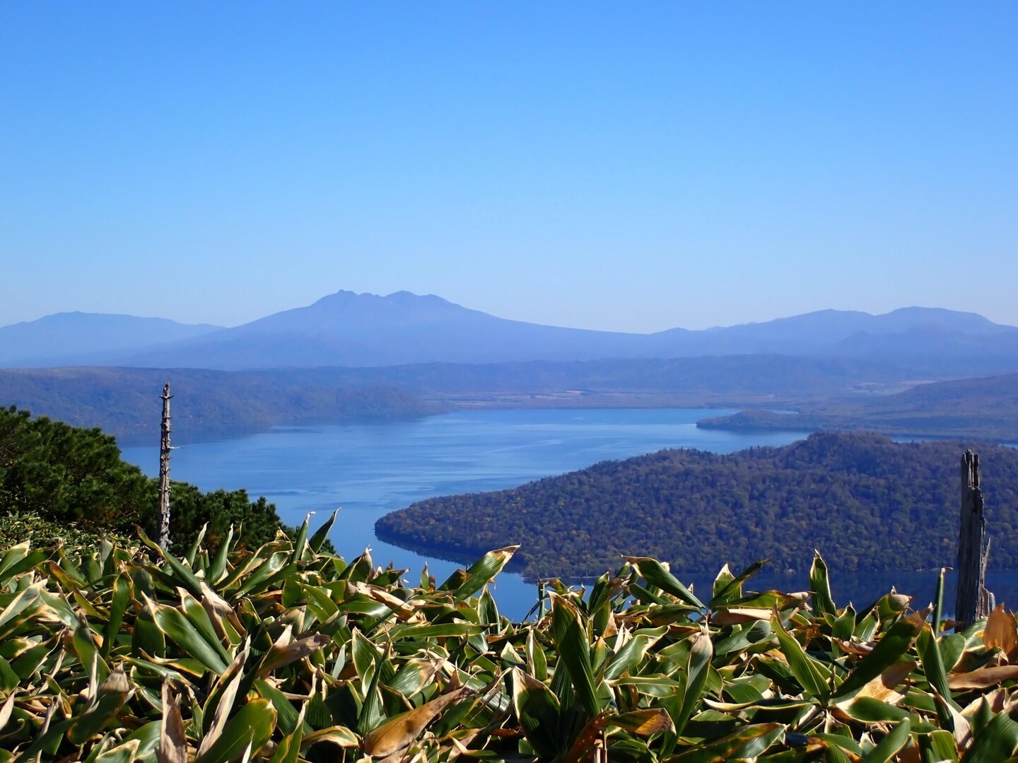 屈斜路カルデラトレイル 津別峠→美幌峠 / moneさんのポンポン山・硫黄山・屈斜路湖の活動データ | YAMAP / ヤマップ