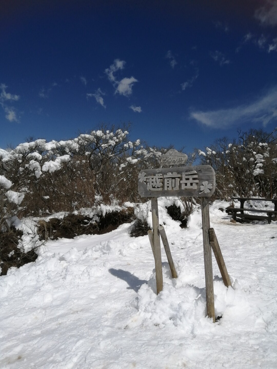 愛鷹山・大岳・黒岳-2020-03-16 / mikoさんの愛鷹山・大岳・黒岳の活動データ | YAMAP / ヤマップ