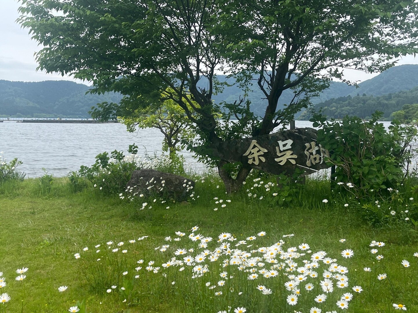 余呉湖一周ウォーキング-2024-05-19 / kazunさんのウォーキングの活動データ | YAMAP / ヤマップ