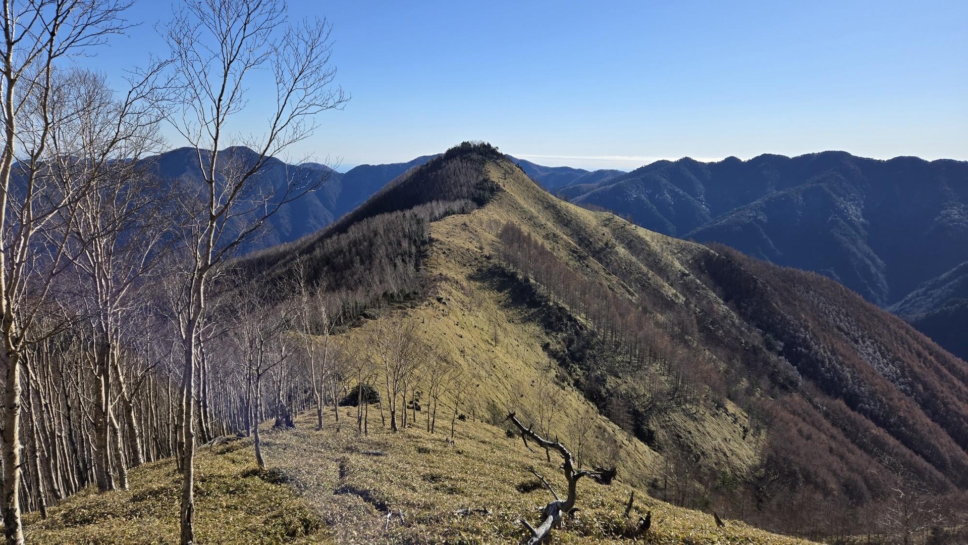 和名倉山(白石山) 200名山 / sadaさんの和名倉山・笠取山・東仙波の活動データ | YAMAP / ヤマップ